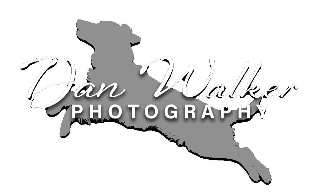 Dan Walker Photography